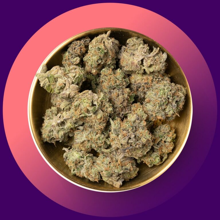 Buy Pink Sherbert Cheap Oz Special @ $75 | Canada