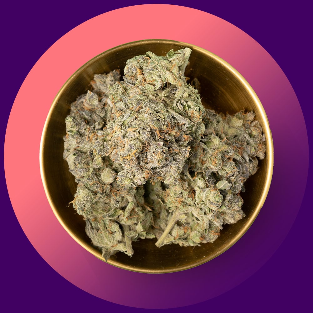 Buy Kush Cookies @ $25 | Canada