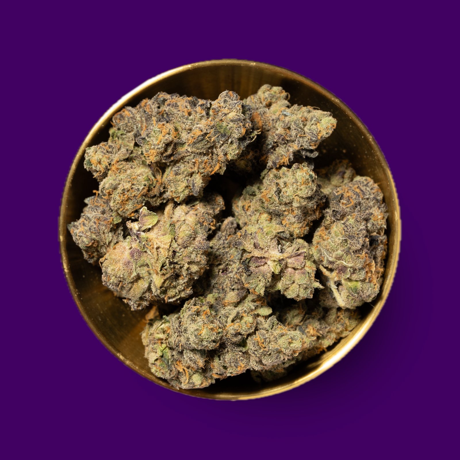 Buy Bucking Runtz @ $20 | Canada