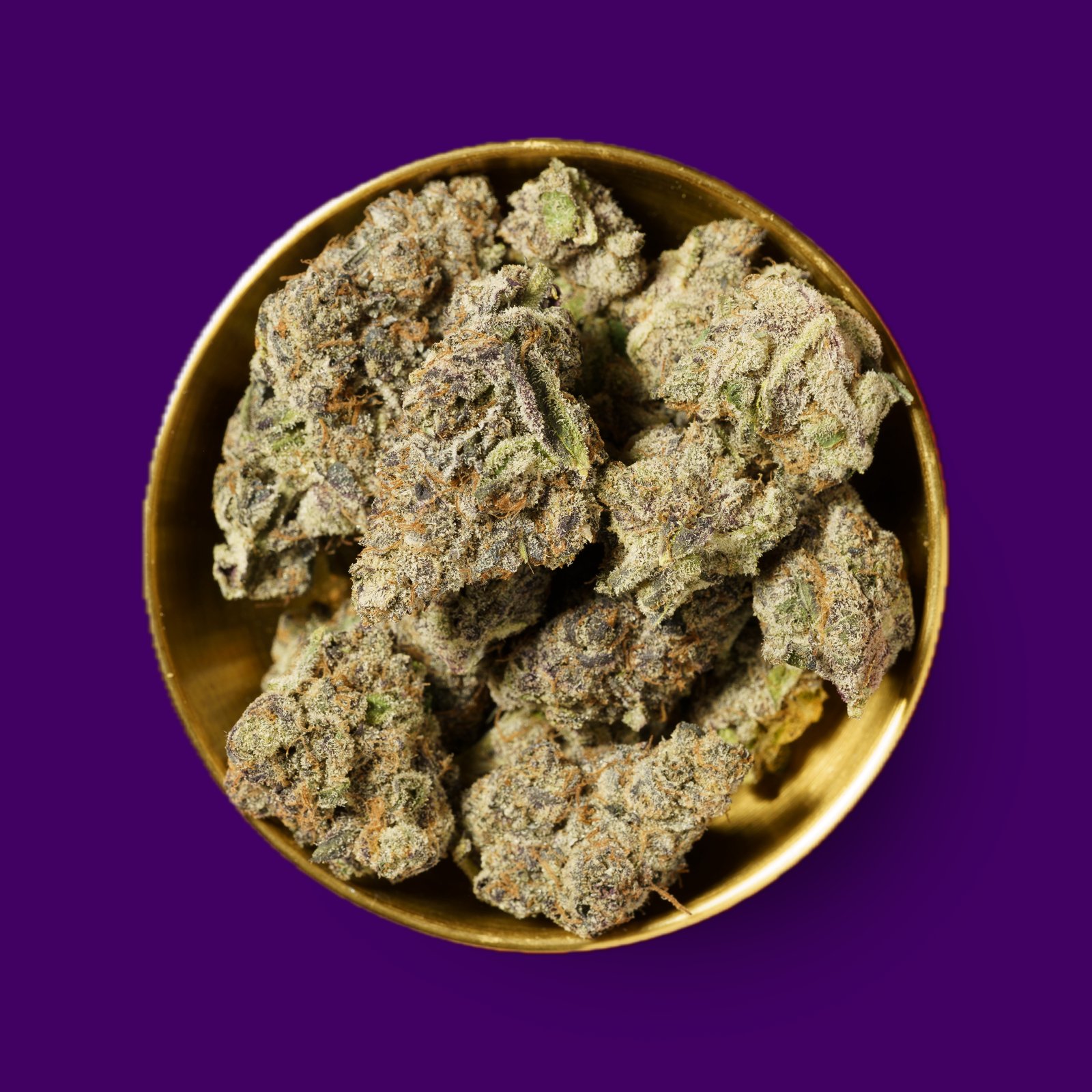 Buy Cherrylicious @ $25 | Canada